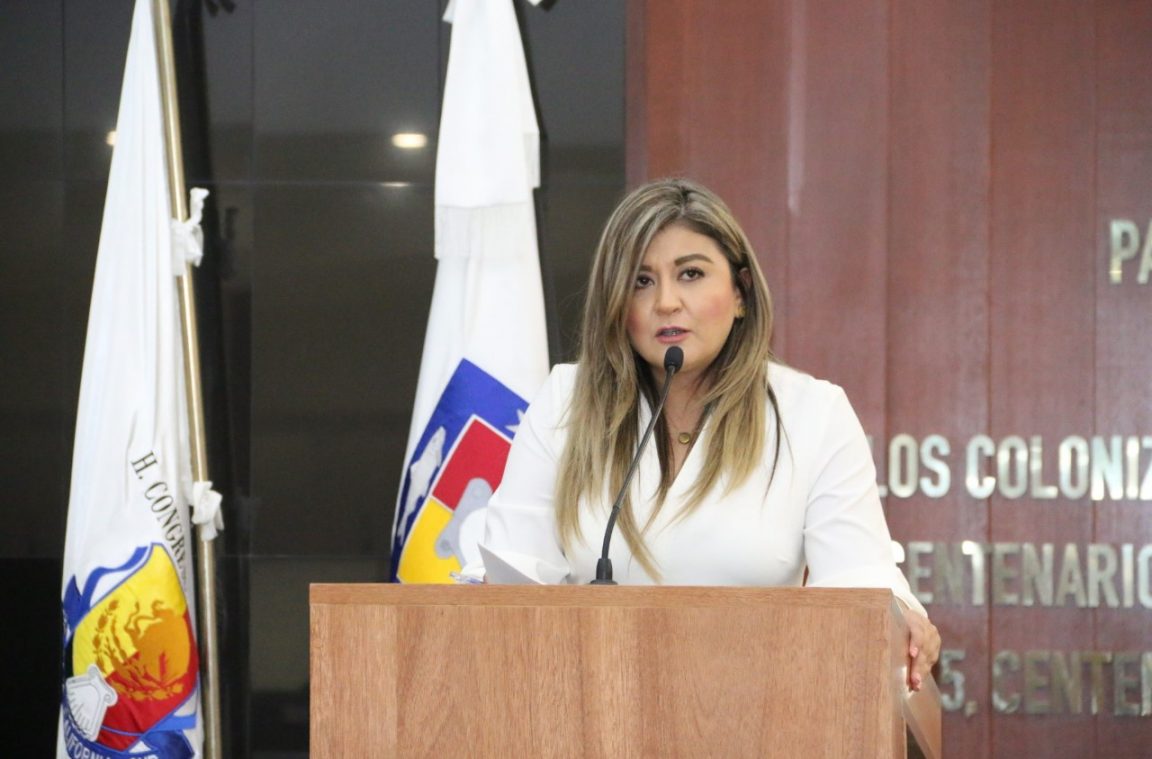 Definitivo: Daniela Rubio no podrá ser diputada plurinominal del PAN ...