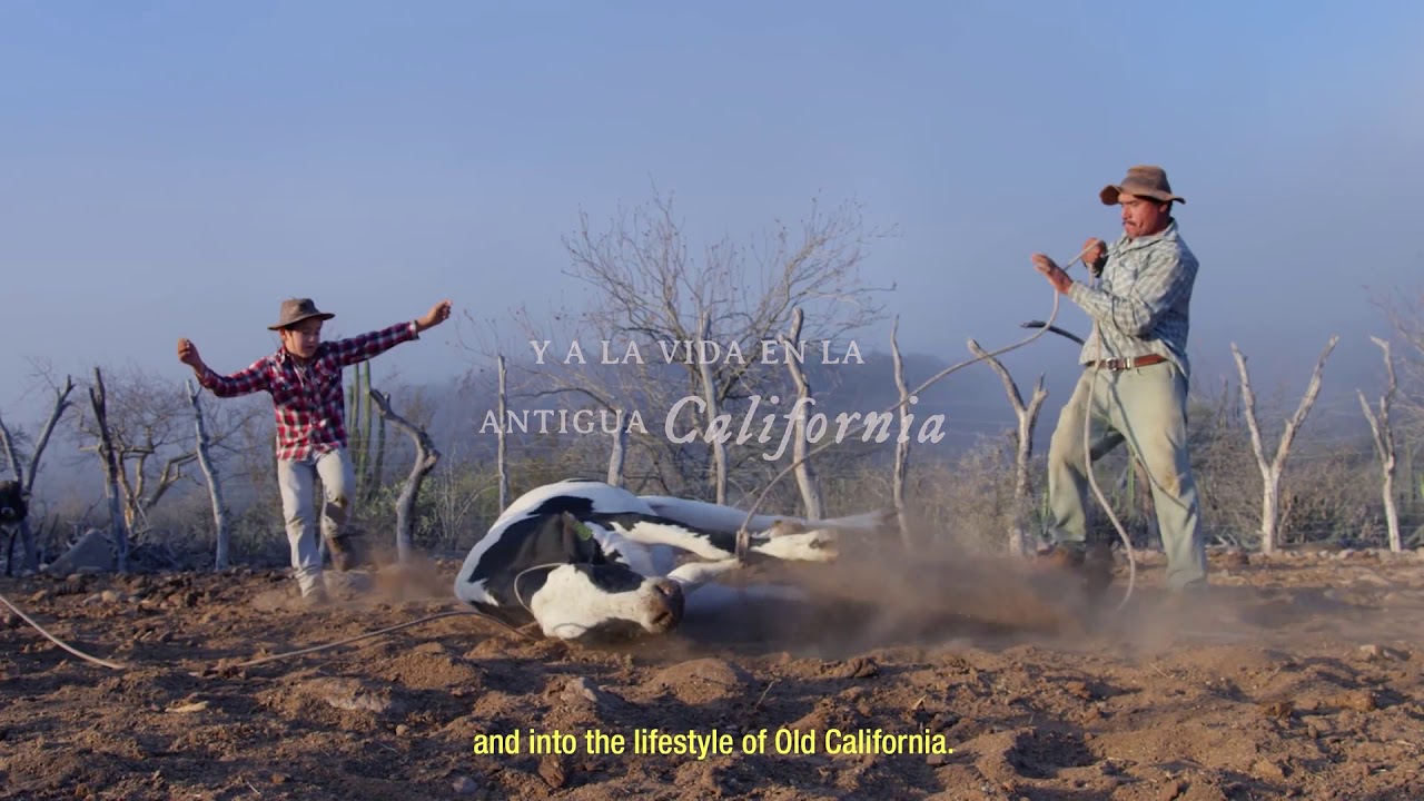 La Recua es un documental del pasado ranchero de BCS premiado en EEUU ...