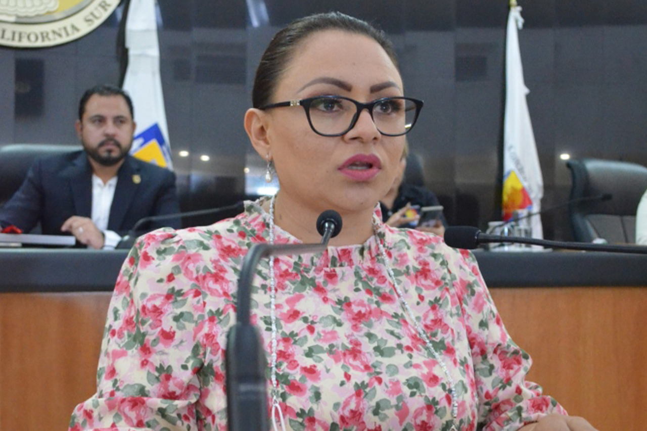 Diputada Alma Ochoa no quita el dedo del renglón sobre carencias de Salud en Loreto y Mulegé ...