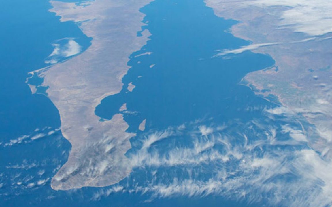 Investigadores reconstruyen historia ambiental del golfo de California ...