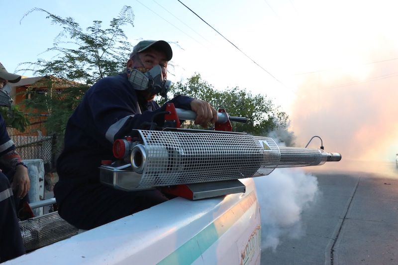 En BCS combatirán con fumigantes al mosquito transmisor de enfermedades ...