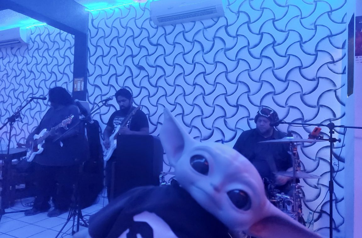 Saquen borlo: la guía del ocio (IV) - El Organismo