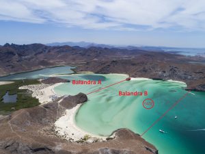 Balandra: Cronología de una tragedia anunciada | El Organismo