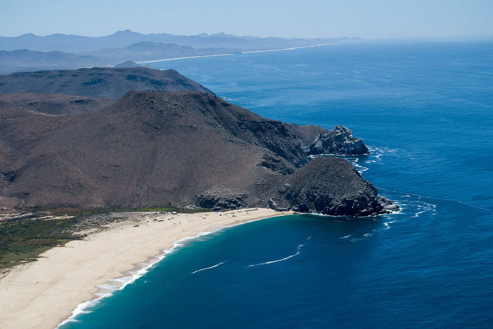 Únete a la jornada de limpieza de playa Punta Lobos | El Organismo