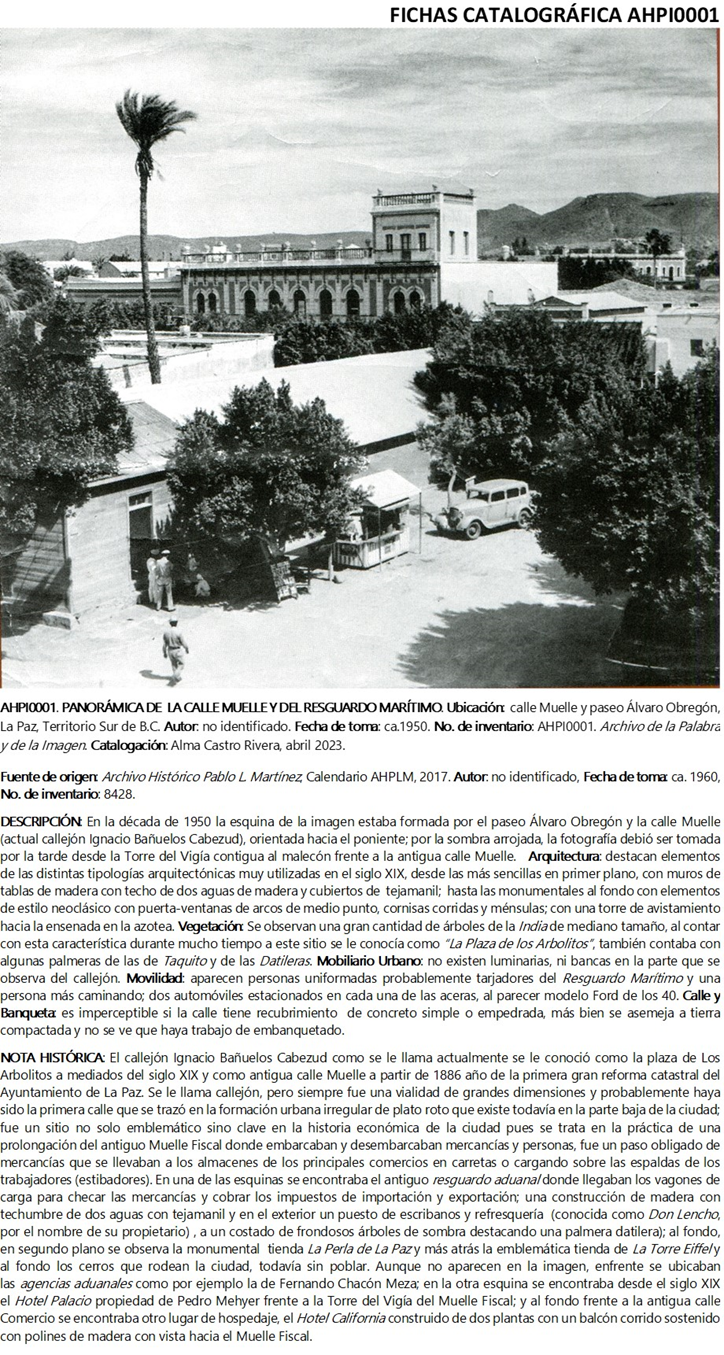 Alma Castro Rivera y el Archivo de la Imagen en el AHPICedohu de la ...