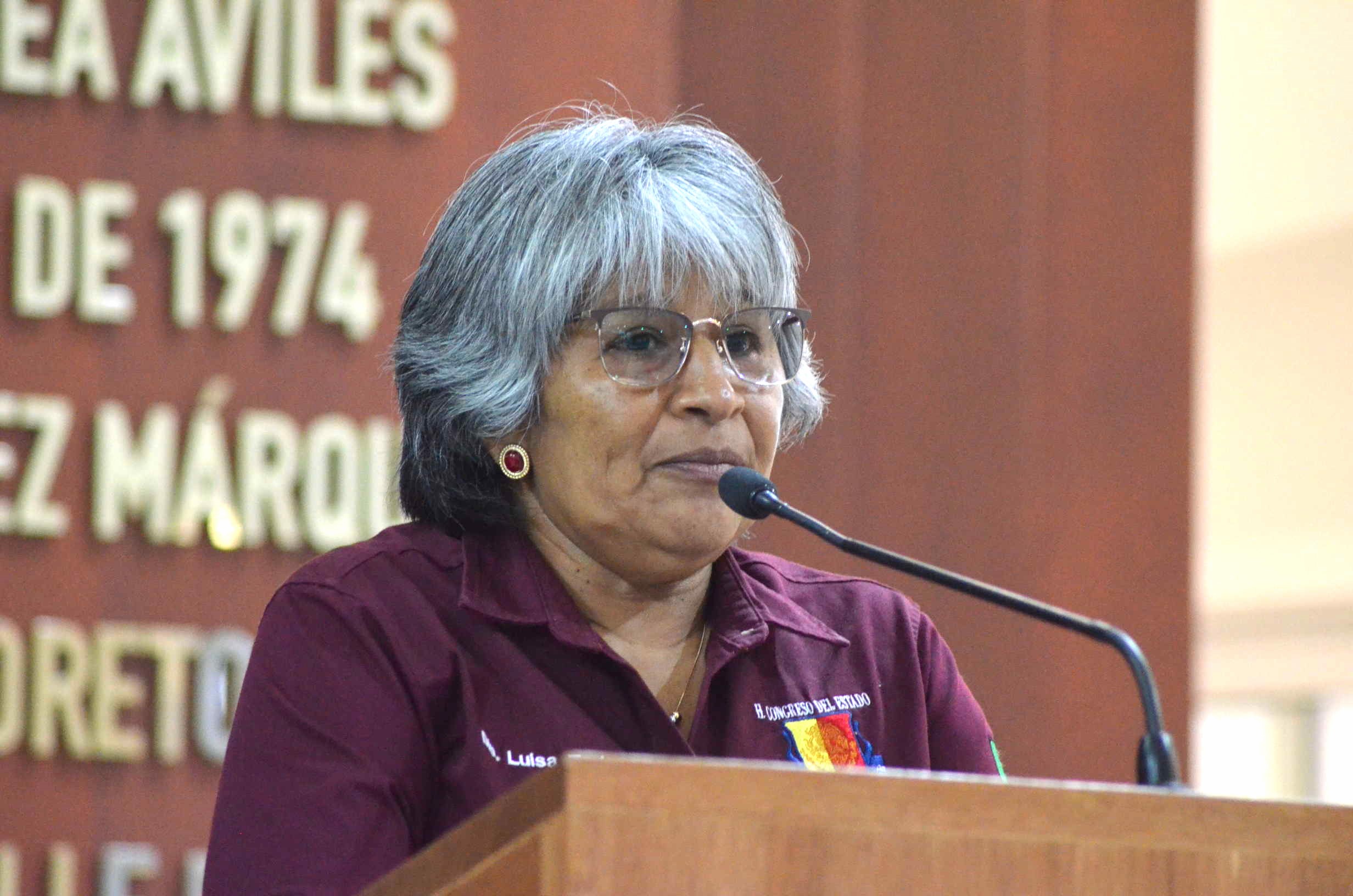 Proponen implementar tarjetones para discapacidad temporal - El Organismo