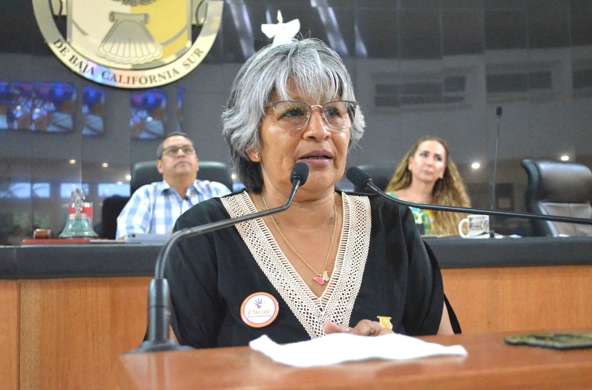 Propone diputada elevar requisitos para ser Subsecretario y Coordinador ...