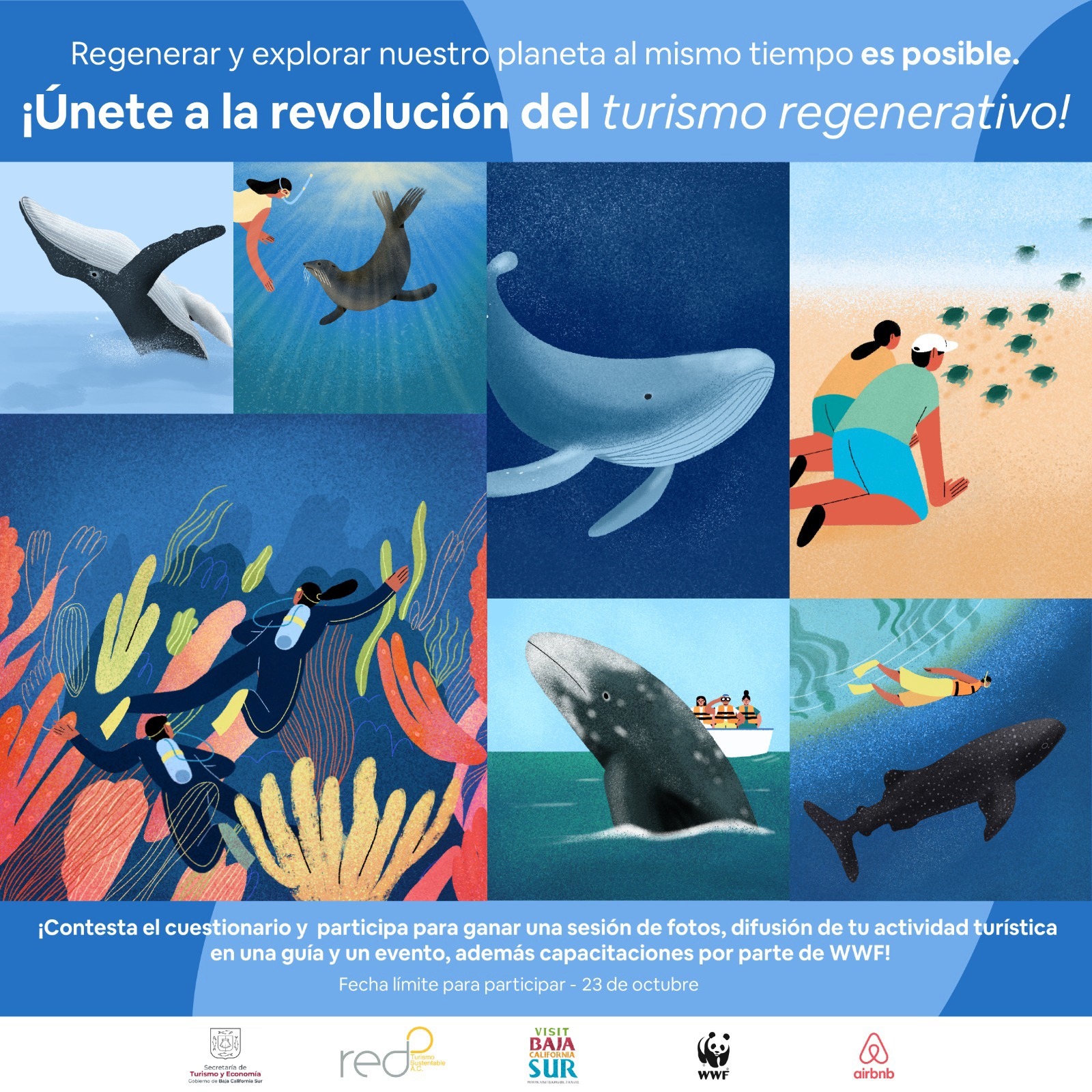 Con concurso, invitan a prestadores a promover turismo regenerativo | El Organismo